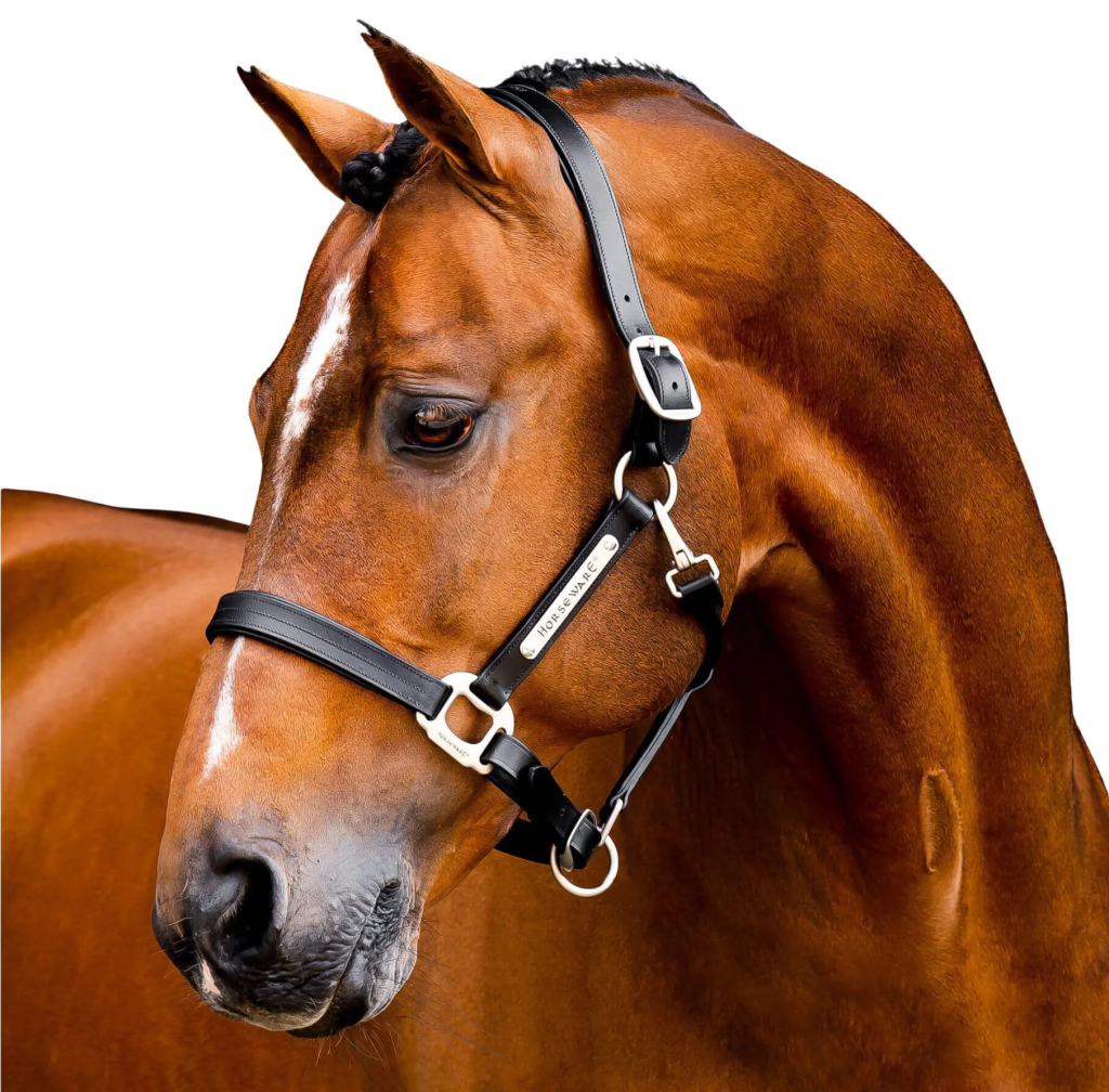 Horseware Signature Leather Headcollar | The Dancing Horse