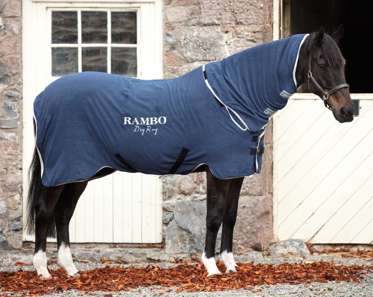 Rambo Dry Rug Microfiber Cloth - The Dancing Horse